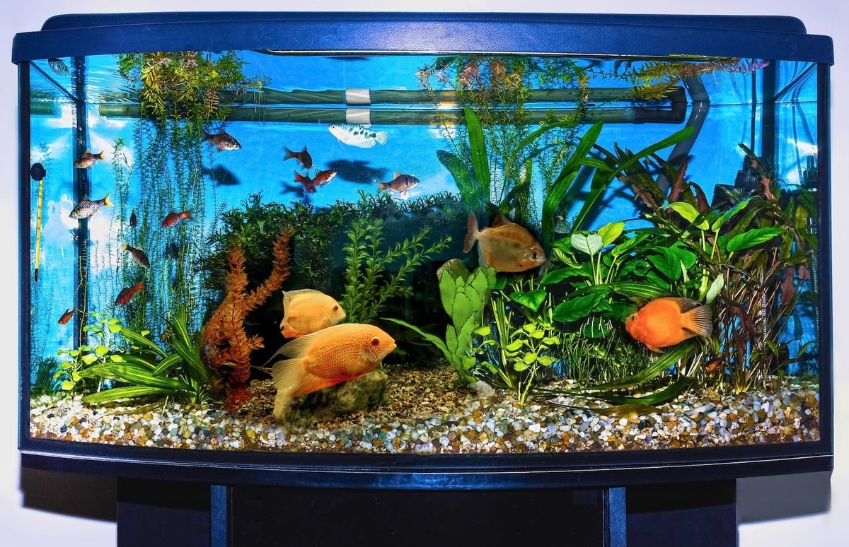 初心者向けパッチワークキルトの始め方｜基本の縫い方・必要な道具・キットも | ぐらんざ